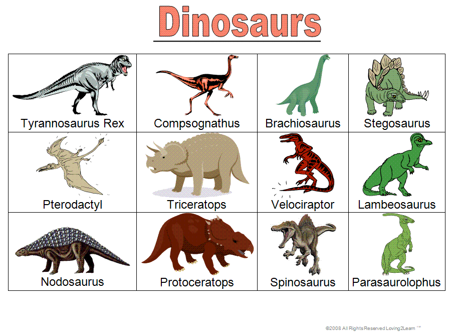 Learning New Words Dinosaurs And Learning Videos